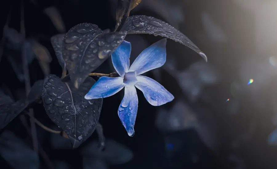 Royalty Free Stock Photos, Videos & Vectors | Colourbox