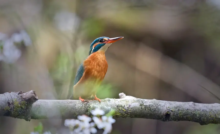 Royalty Free Stock Photos, Videos & Vectors | Colourbox